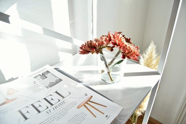 Blog vs Article: Understanding the Differences - After Social